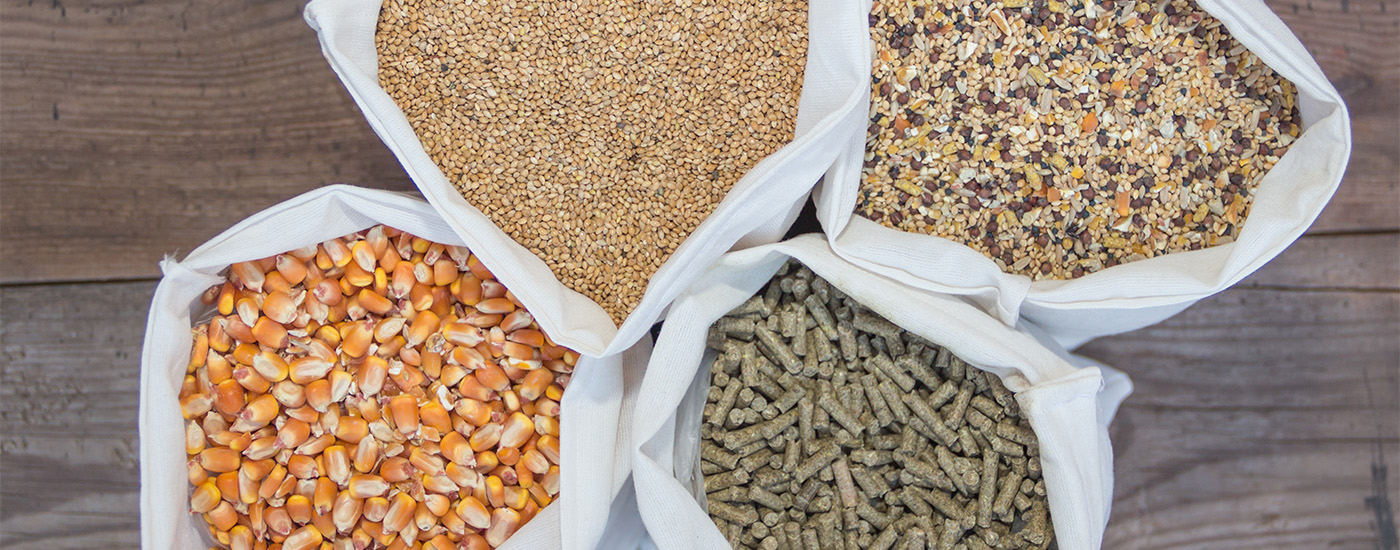 Artikel Nieuwe Oogst over scheiding advies en inkoop van veevoer - MijnVoer